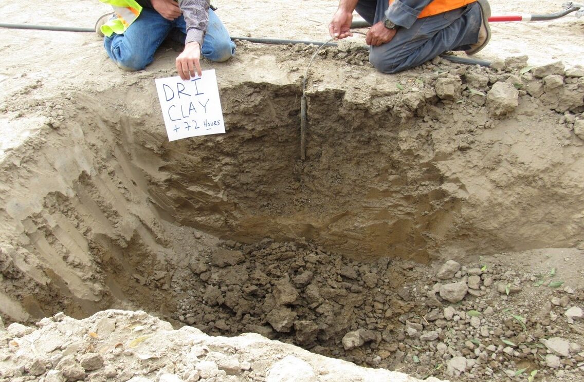 Deep Root Irrigation vs. Drip Irrigation | Deep Root Revolution